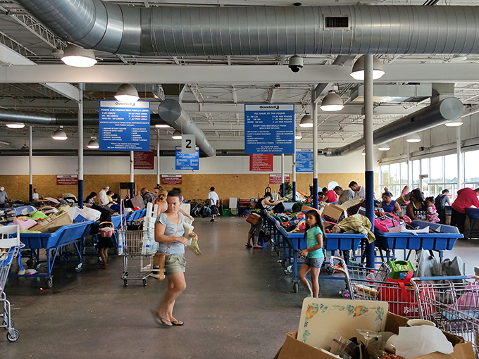 The seasoned pros navigate the warehouse with purpose—carts at the ready and eyes scanning for that flash of value amid the vast blue bin landscape.
