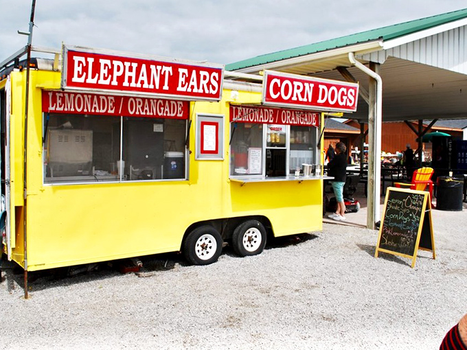 The bright yellow "Elephant Ears" stand promises the kind of delicious, powdered-sugar-dusted indulgence that requires both napkins and zero regrets.