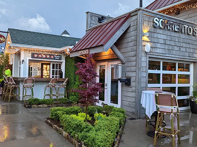 Sorrento's patio doesn't just serve Italian food; it creates Italian moments. Even the plants are arranged to maximize your "I could get used to this" sigh.