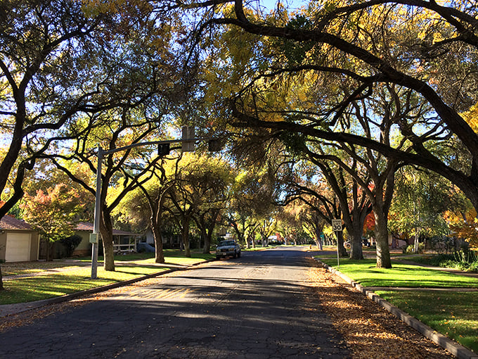 Tree-lined streets where leaves actually change color and neighbors actually wave—Merced offers California living without the California pretense.