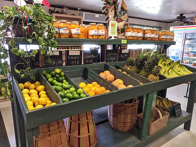 Tony's Produce Market showcases Florida's bounty in living color – where citrus practically jumps into your shopping basket.