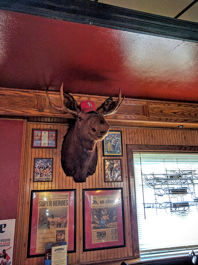 Even the moose wears Cardinals gear. In St. Louis, baseball isn't just a sport—it's practically a religion with better snacks.