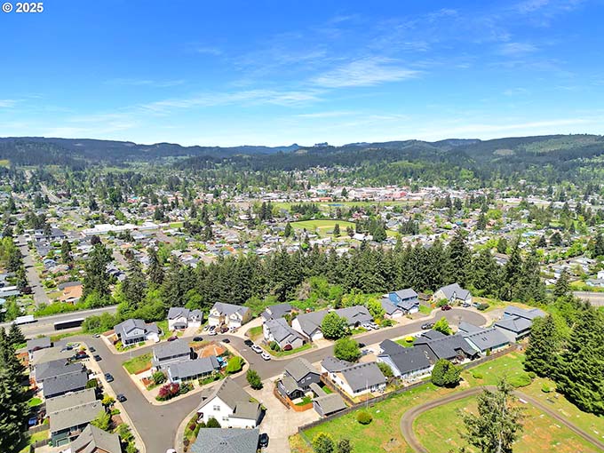 From above, Cottage Grove reveals itself as a perfect patchwork quilt of homes, forests, and community—like someone designed a town based on everyone's childhood memories.