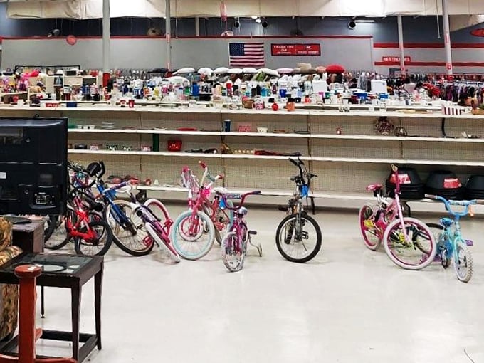 Bicycles stand in colorful formation, from tiny training wheels to adult models, all waiting to hit the road again with new riders.