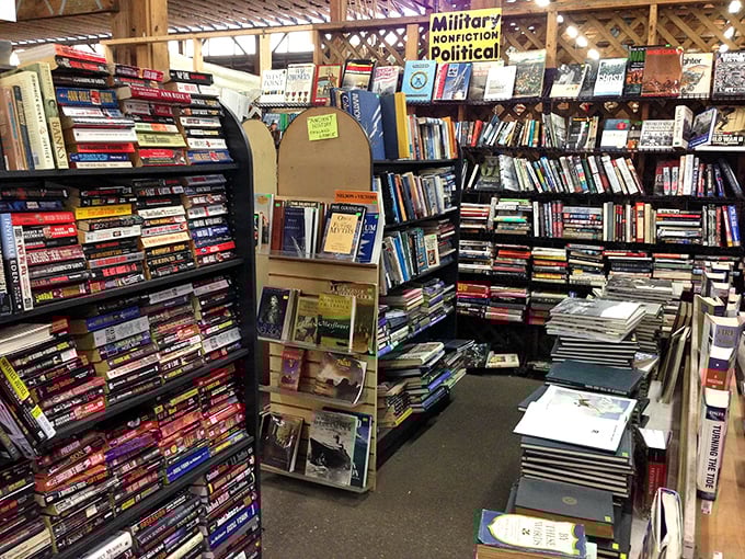 Literary treasures stacked floor to ceiling—a bibliophile's dream where dog-eared paperbacks share shelf space with leather-bound classics.