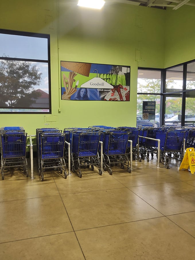 Blue shopping carts stand at attention, ready for their $25 challenge. These chariots of thrift await your bargain-hunting expertise.