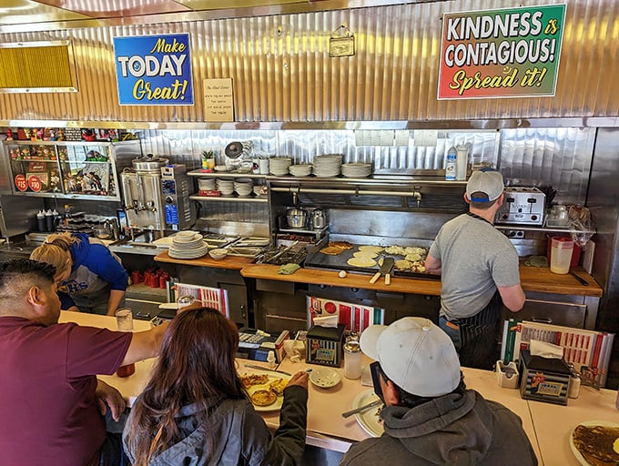 Where strangers become temporary neighbors, united by the universal language of "pass the hot sauce, please."