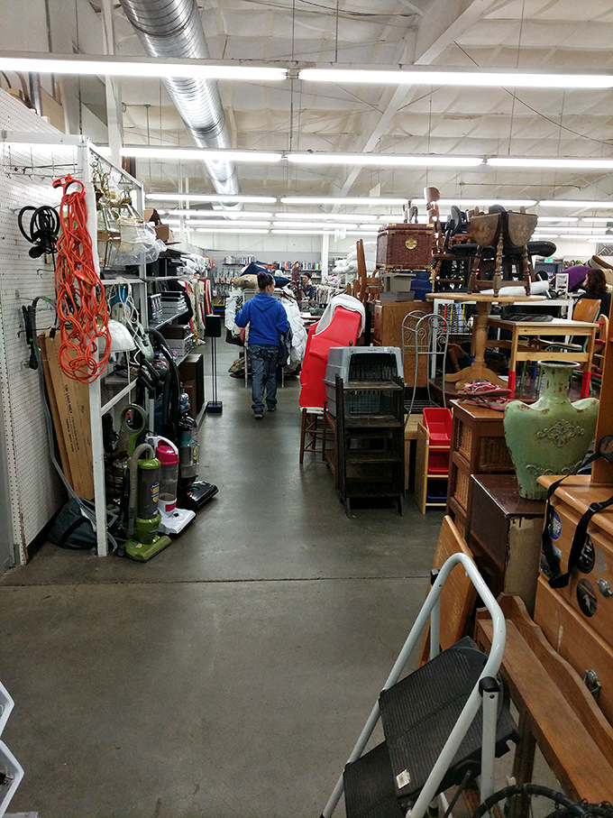 The furniture section: where mid-century meets millennium in a dance of styles. That green lamp could be the conversation piece your living room needs.