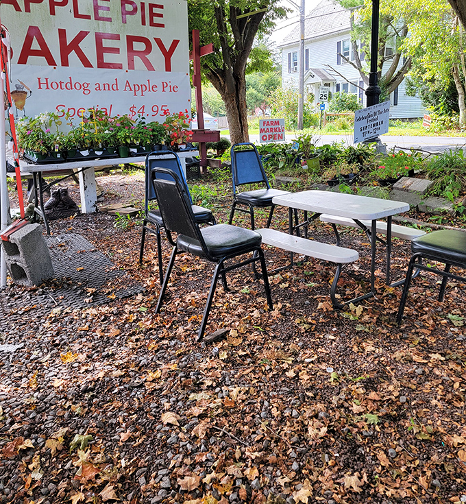Outdoor seating that's not trying to impress anyone—just honest picnic tables where pie tastes even better with a side of fresh air.