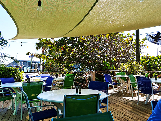 Outdoor seating where the gentle Florida breeze carries salt air to complement your seafood feast—nature's perfect seasoning for an already perfect meal.
