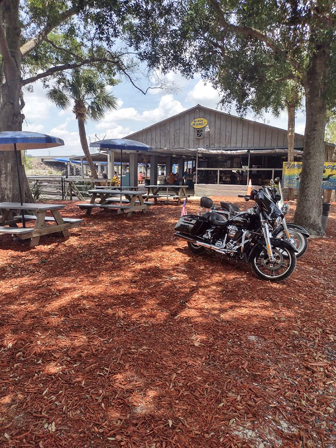 Motorcycles rest in the shade while their riders feast inside—Lone Cabbage is where road warriors and water warriors find common ground.
