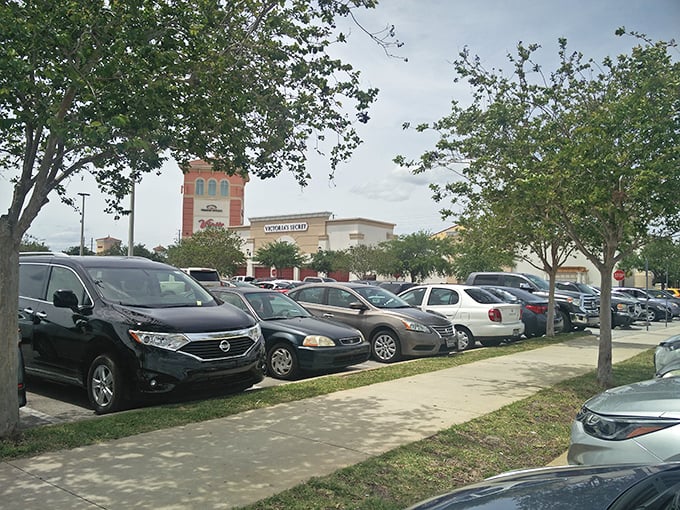 The parking lot: a sea of cars with trunks eagerly waiting to be filled with shopping victories. 