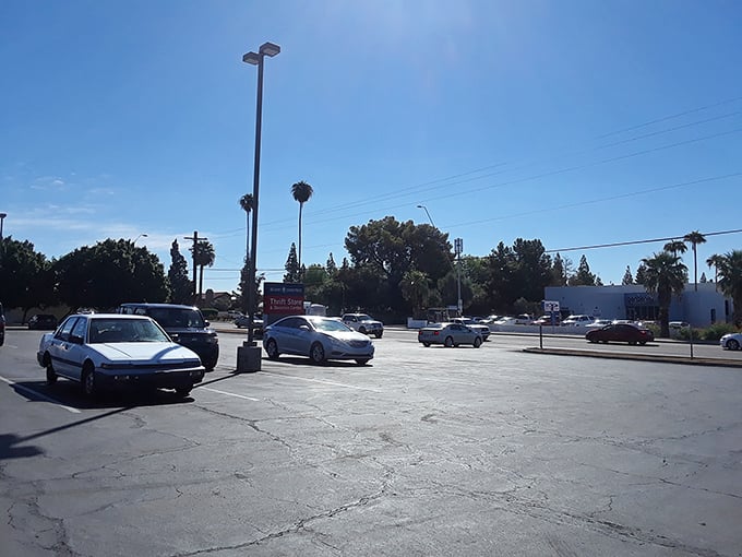 The parking lot—where empty trunks arrive and full trunks depart. The before-and-after scene of thrift store magic.