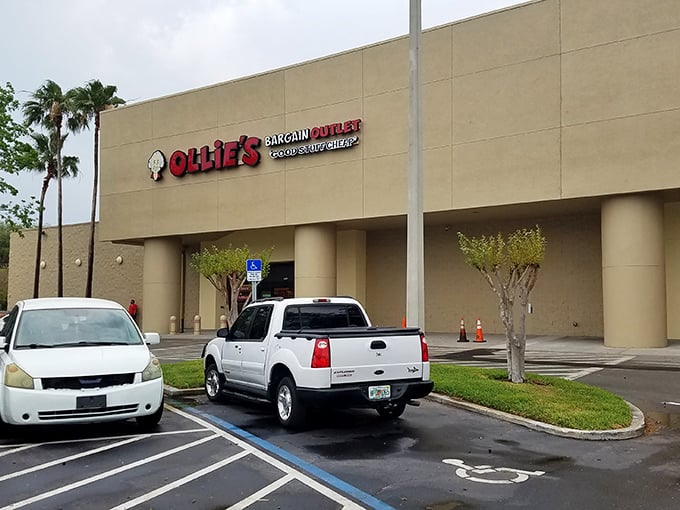 Even the parking lot speaks volumes—where else do pickup trucks from Ocala meet minivans from Miami in bargain-hunting solidarity?