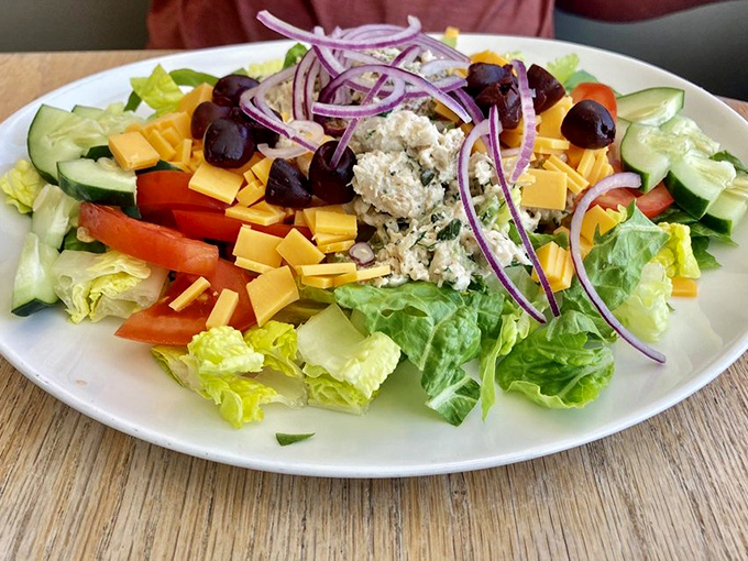 A salad that doesn't apologize for being a salad—bold colors, sharp cheddar, and enough vegetables to counterbalance three cheesecakes.