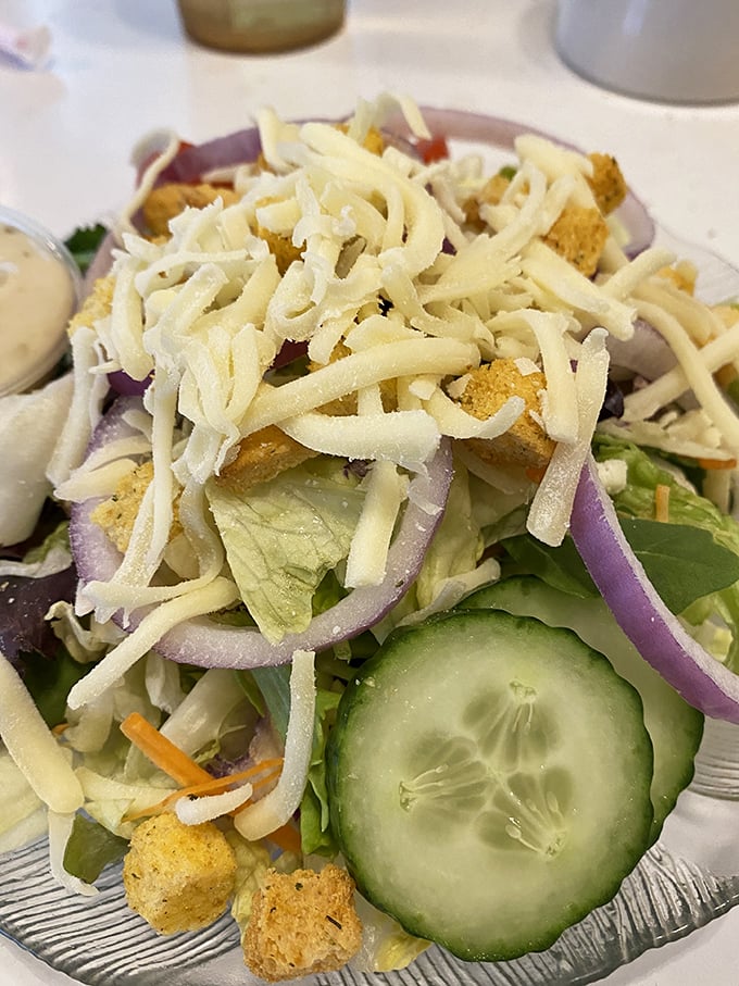 A garden on your plate – this salad delivers crisp freshness topped with a snowfall of cheese that turns healthy intentions into actual enjoyment.