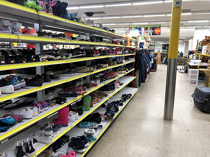Shoe heaven stretches before you—each pair with miles left to travel. Those barely-worn sneakers are just waiting for their next adventure.