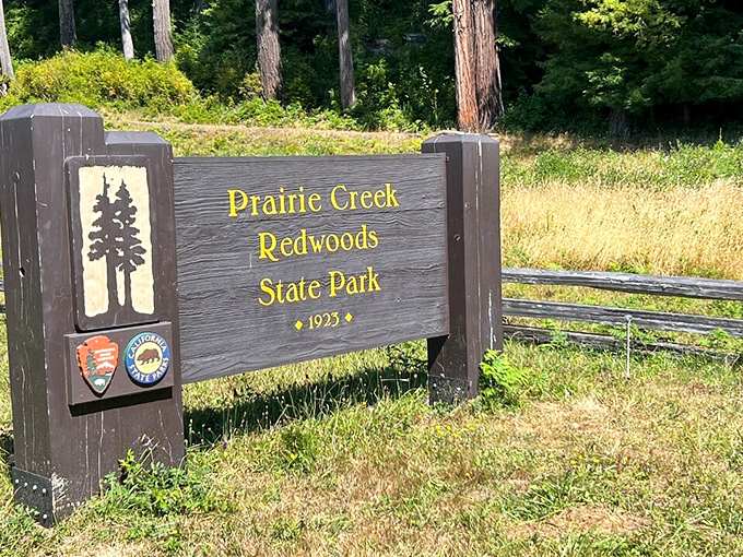 Established in 1923, this unassuming entrance sign marks the threshold to a world where time seems to slow and worries fade away.
