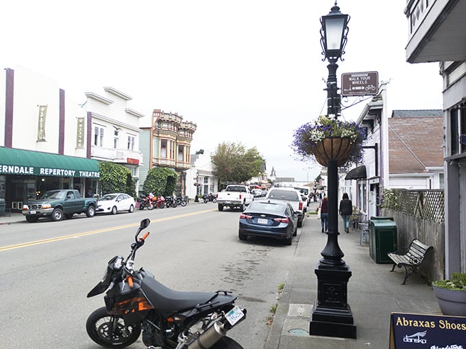 Vintage lampposts and hanging flower baskets line Ferndale's streets, creating a movie-set perfection that somehow manages to feel completely authentic and lived-in.