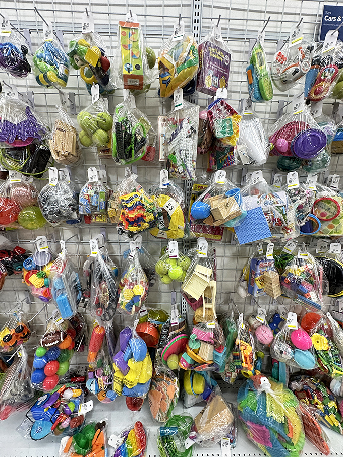 Bagged toy treasures hang like colorful piñatas, each plastic package a surprise party of potential playthings at pennies on the dollar.