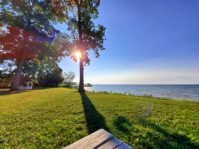 Golden hour perfection – when the sun plays hide-and-seek through the trees and Lake Erie sparkles like it's showing off just for you.