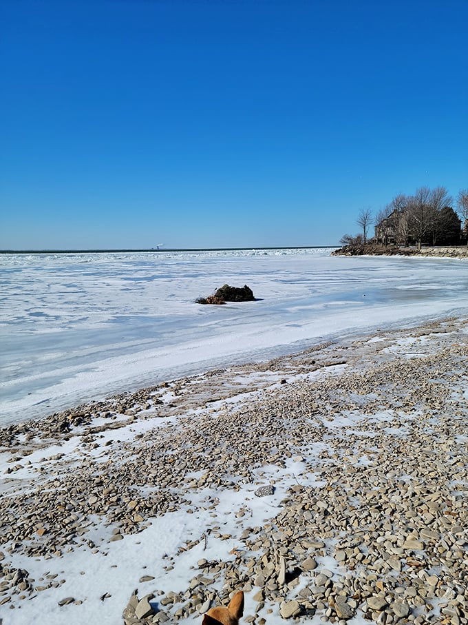Winter transforms Catawba into a frozen wonderland where ice sculptures form naturally and the lake sleeps beneath a crystalline blanket.