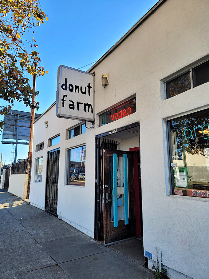 Donut Farm's minimalist sign and bright pink donut mural – where vegan treats prove plant-based can be indulgent too.