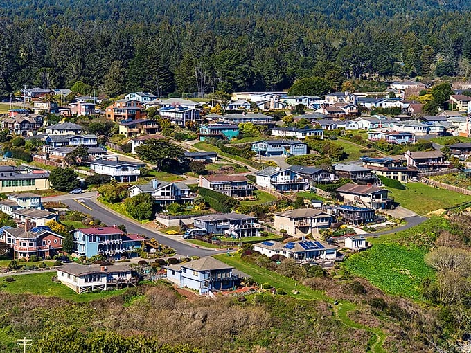 From above, Trinidad reveals itself as a perfect patchwork of homes nestled between forest and sea – suburban planning with a view.