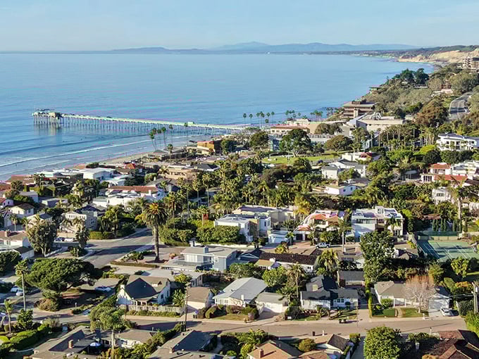 From above, Bodega Bay reveals its perfect geography – a place where land and sea arranged themselves just so for our benefit.