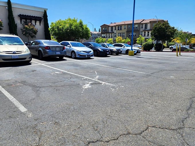 Ample parking space because even treasure hunting expeditions need a good starting point for adventures.