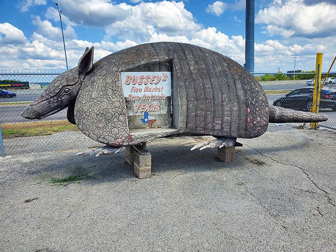 The unofficial mascot of Bussey's—an armadillo sculpture that perfectly captures Texas's blend of quirky pride and artistic ingenuity.