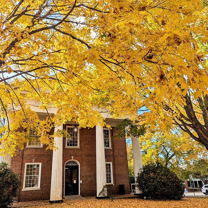 Fall transforms Hillsborough into a golden wonderland, with historic buildings peeking through canopies of yellow leaves that seem to glow from within.