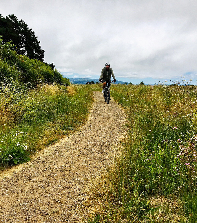 Arcata's trail system offers cyclists miles of scenic terrain. The perfect blend of exercise and sightseeing – like a spin class with actual views.