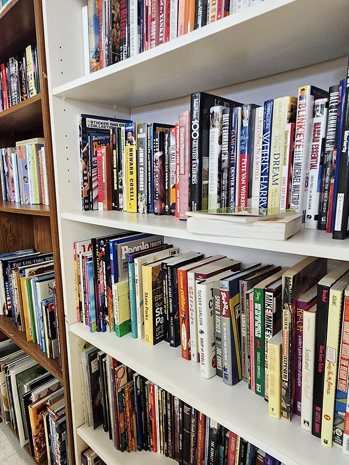 Books stacked with promise—each spine a doorway to another world. This literary corner could keep a bibliophile happily lost for hours.