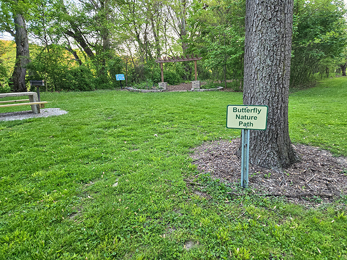 Follow the flutter. This unassuming sign points to one of the park's hidden treasures—a pathway where butterflies transform an ordinary walk into magic.