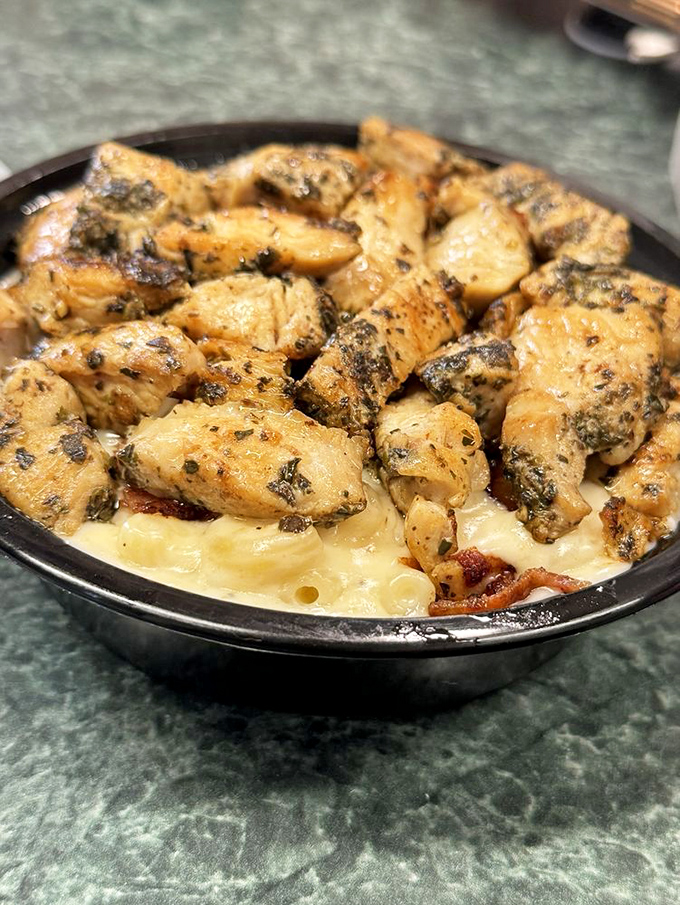 Herb-seasoned chicken perched atop a golden pool of cheese sauce—visual evidence that someone in that kitchen truly cares.