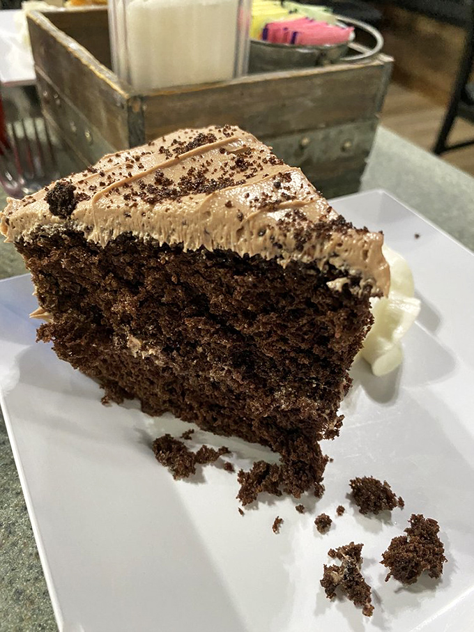 Chocolate cake that doesn't believe in moderation. Three layers of cocoa commitment with frosting that's been to finishing school. Diet starts tomorrow.