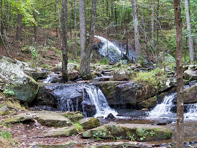 Collins Creek Cascade offers nature's version of meditation – where falling water creates a soundtrack that no meditation app can replicate.