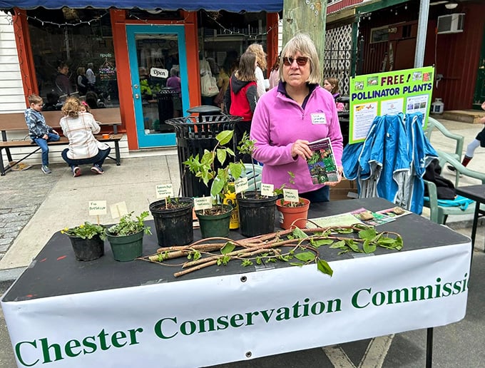 The Conservation Commission's plant giveaway embodies Chester's ethos – nurturing both community and environment with equal care and attention.