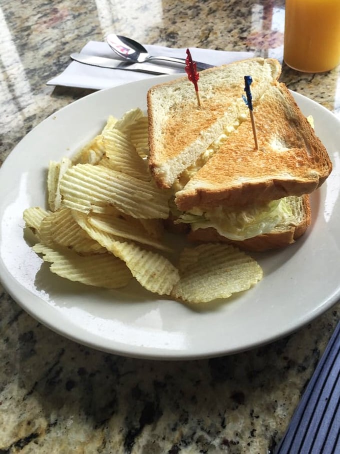 A sandwich that doesn't need to show off. Two perfectly toasted bread slices, classic chips, and those little colored toothpicks that say "diner" in a universal language.