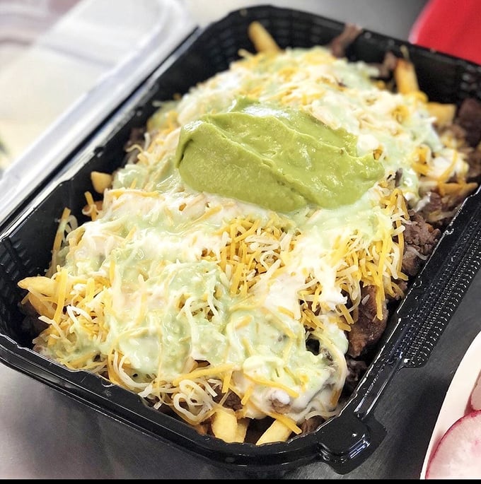 Carne asada fries—where Mexican flavors and American indulgence create a cross-border masterpiece that unites us all.