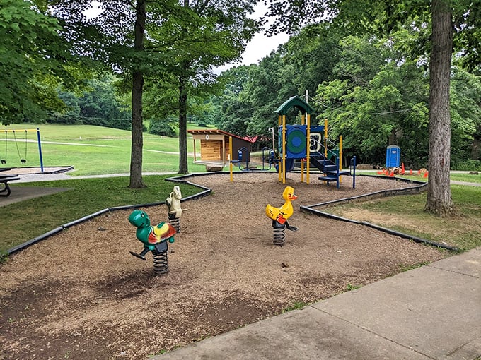 Community parks in small towns just hit different—simple pleasures in green spaces where generations have played. Childhood, distilled to its essence. 