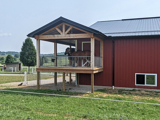 Even the animals at Hershberger's enjoy prime real estate with a view—this elevated horse porch offers countryside vistas that humans might envy.