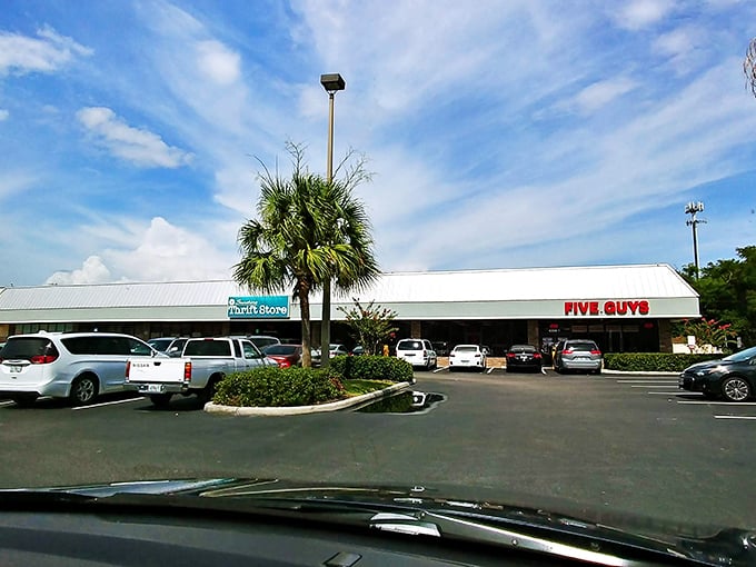Even the parking lot tells a story—palm trees standing guard over a building that houses thousands of second chances and first discoveries.