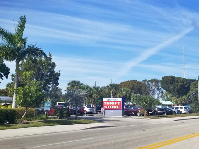 Palm trees stand guard over a packed parking lot – Florida's version of "If you build a thrift store, they will come."