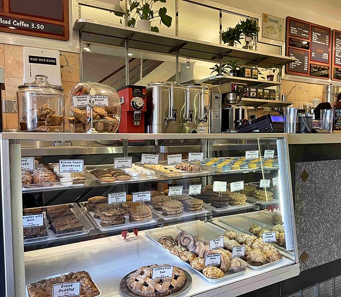 The pastry case—where good intentions go to die and "I'll just have coffee" becomes "I'll take one of each, please."