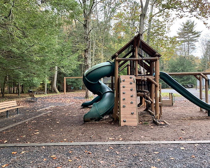 Even in nature's playground, kids need a playground – this rustic structure blends perfectly with its woodland surroundings.