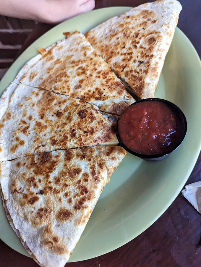 This quesadilla has achieved that perfect golden-brown exterior that whispers, "Yes, I'm exactly as delicious as you're hoping I am."