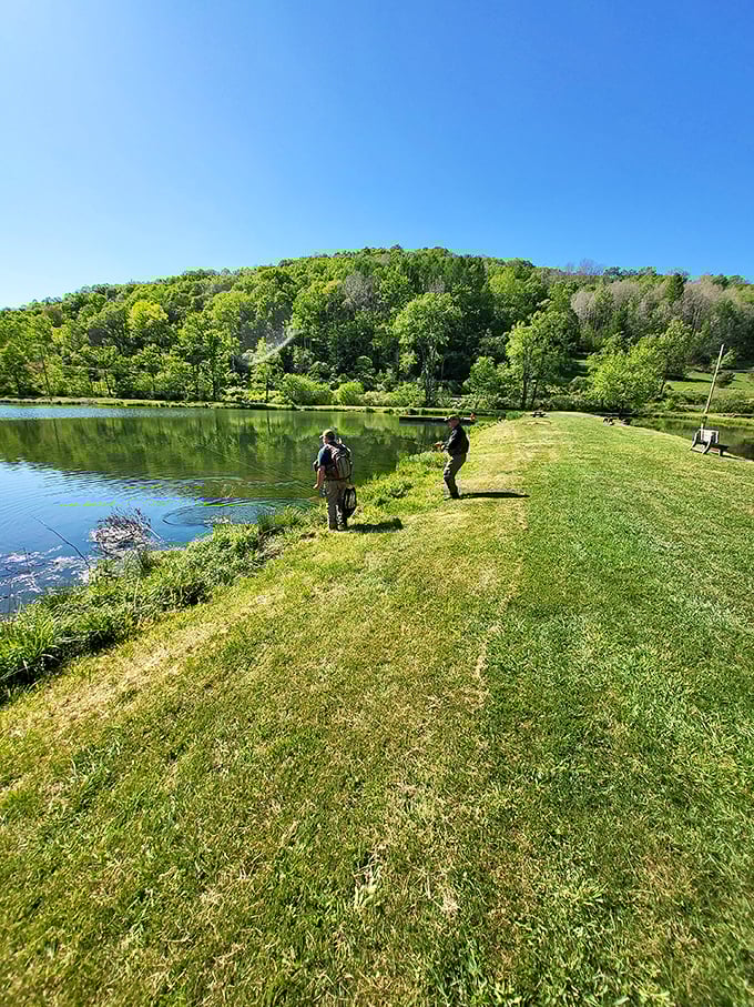 Fishing in paradise just minutes from downtown. These anglers aren't just casting lines – they're connecting with a tradition as old as Potter County itself.