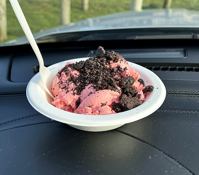 Pink ice cream meets chocolate crumbles in dashboard dining perfection. Some desserts are so good, you can't even wait to leave the parking lot.
